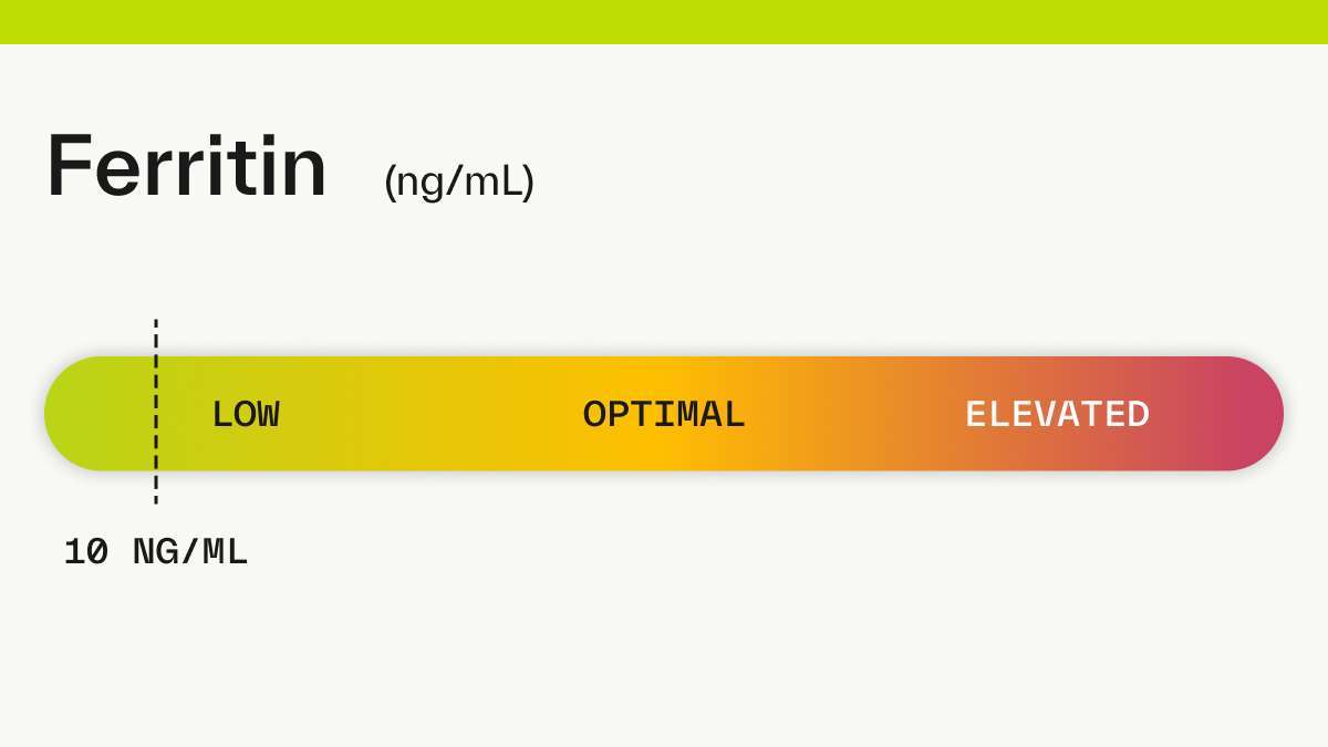 Ferritin Nedir? Düşüklüğü, Yüksekliği, Normal değeri Kaçtır?